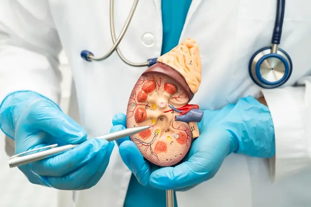 What Size of Kidney Stone Requires Surgery?